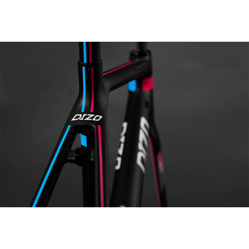 Advanced International Multitech Co., Ltd. (DIZO BIKE)