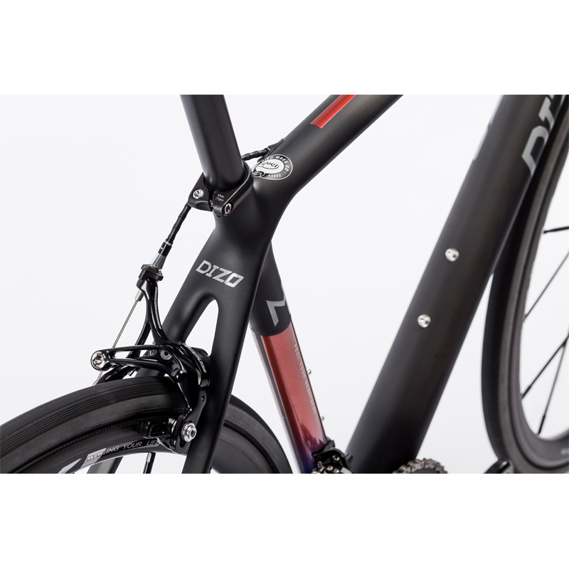 Advanced International Multitech Co., Ltd. (DIZO BIKE)