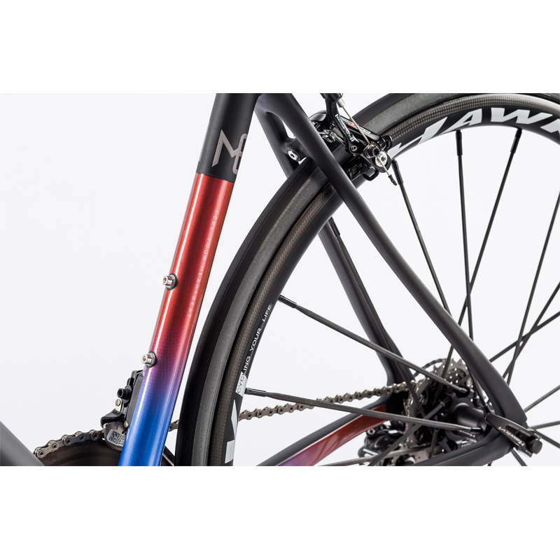 Advanced International Multitech Co., Ltd. (DIZO BIKE)