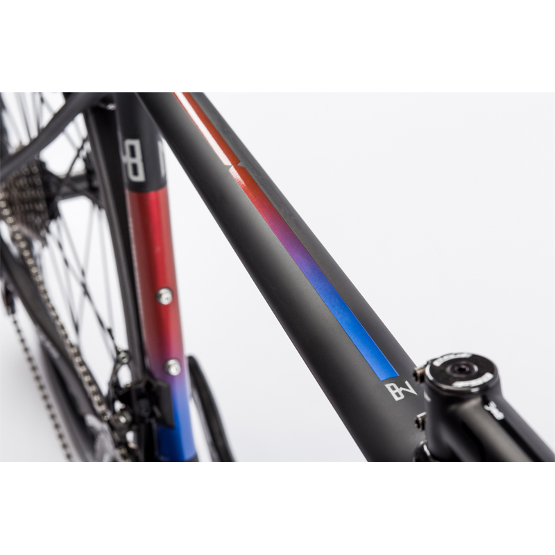 Advanced International Multitech Co., Ltd. (DIZO BIKE)