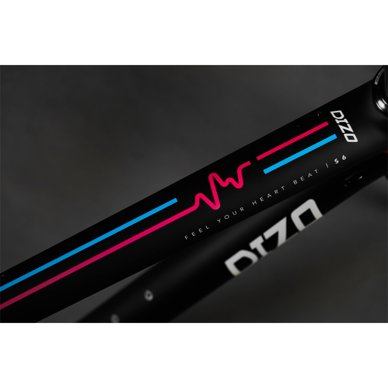 Advanced International Multitech Co., Ltd. (DIZO BIKE)