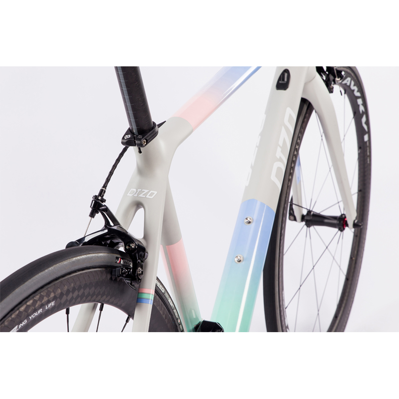 Advanced International Multitech Co., Ltd. (DIZO BIKE)