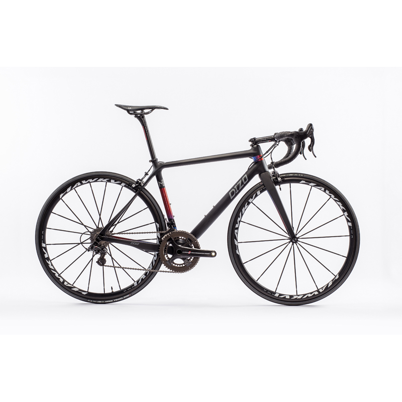 Advanced International Multitech Co., Ltd. (DIZO BIKE)