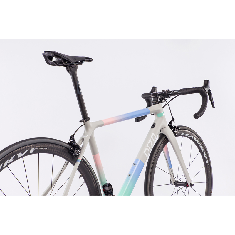 Advanced International Multitech Co., Ltd. (DIZO BIKE)