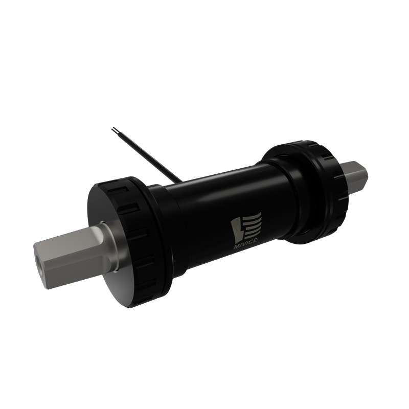 M&S E-Driving System Co., Ltd (Mivice)