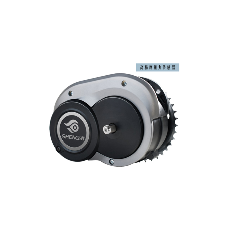 Suzhou Shengyi Motor Co., Ltd