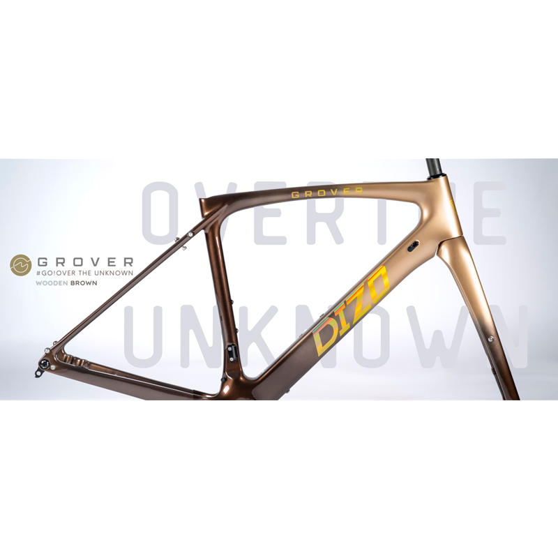 Advanced International Multitech Co., Ltd. (DIZO BIKE)